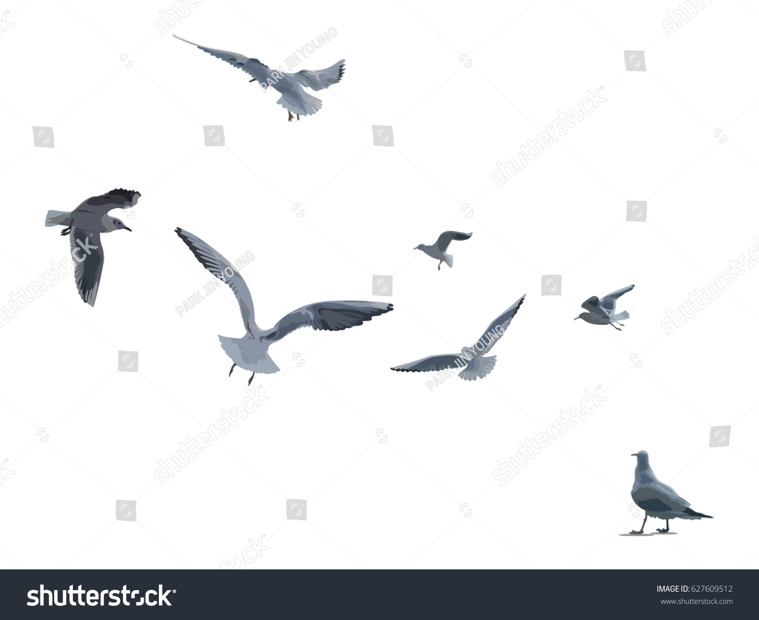 Flying Seagulls Vector Illustration Stock Vector (Royalty Free) 627609512