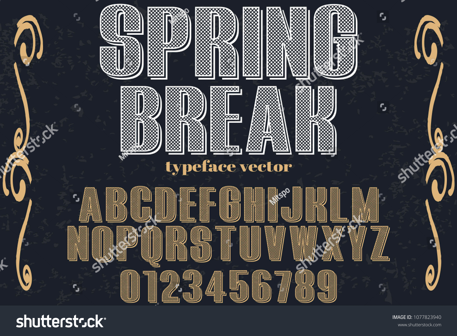 Font Alphabet Script Typeface Handcrafted Handwritten Stock Vector ...