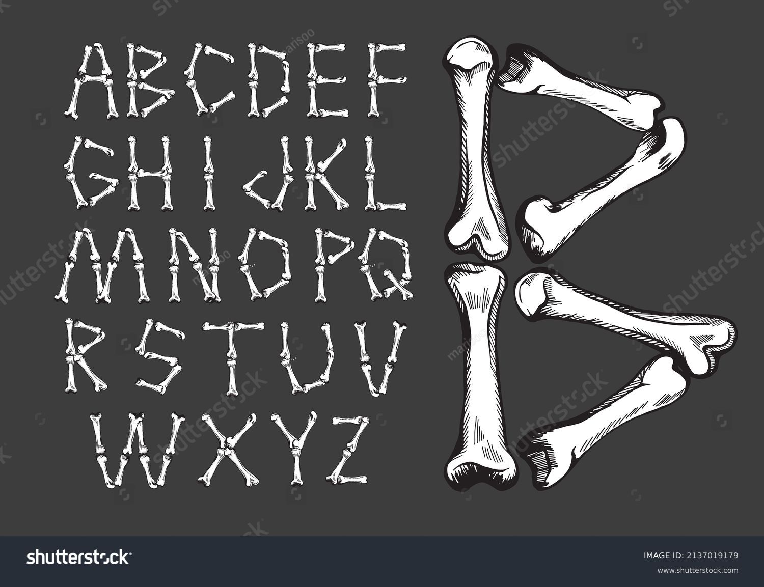 Skeleton font : 5 333 images, photos et images vectorielles de stock ...