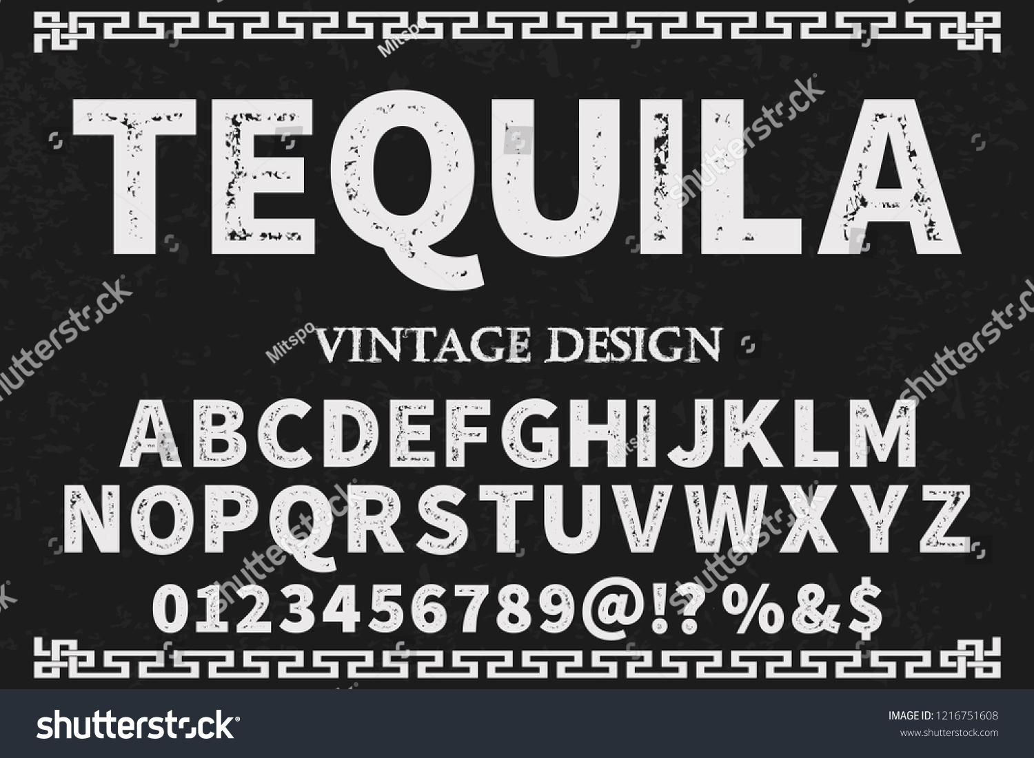 Font Script Typeface Vector Named Tequila Stock Vector (Royalty Free ...