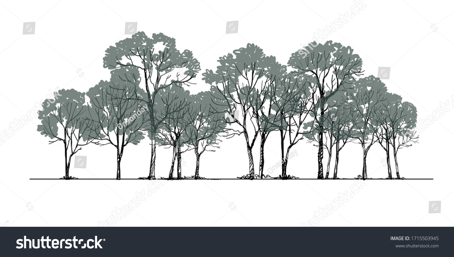 Forest Background Sketch Ing Vector Tree Stok Vektör (Telifsiz ...