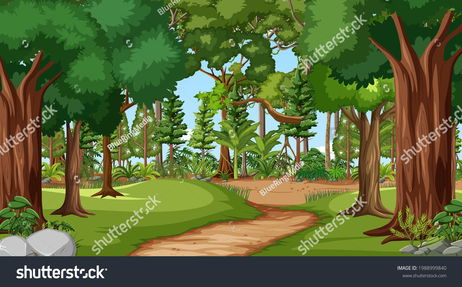 Forest Scene Various Forest Trees Illustration Stock Vector (Royalty ...