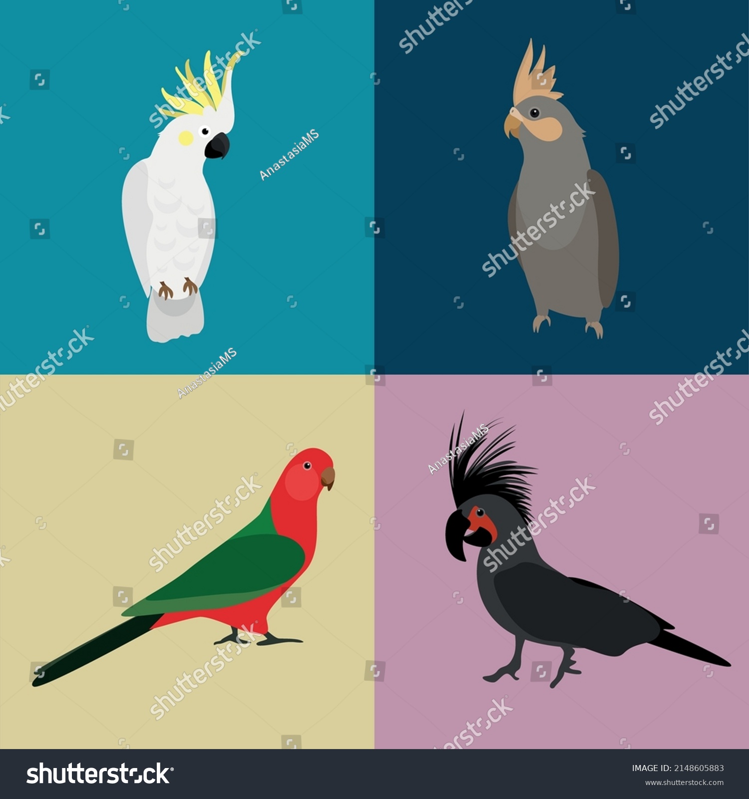 Four Different Parrots Vector Illustration Stock Vector (Royalty Free ...