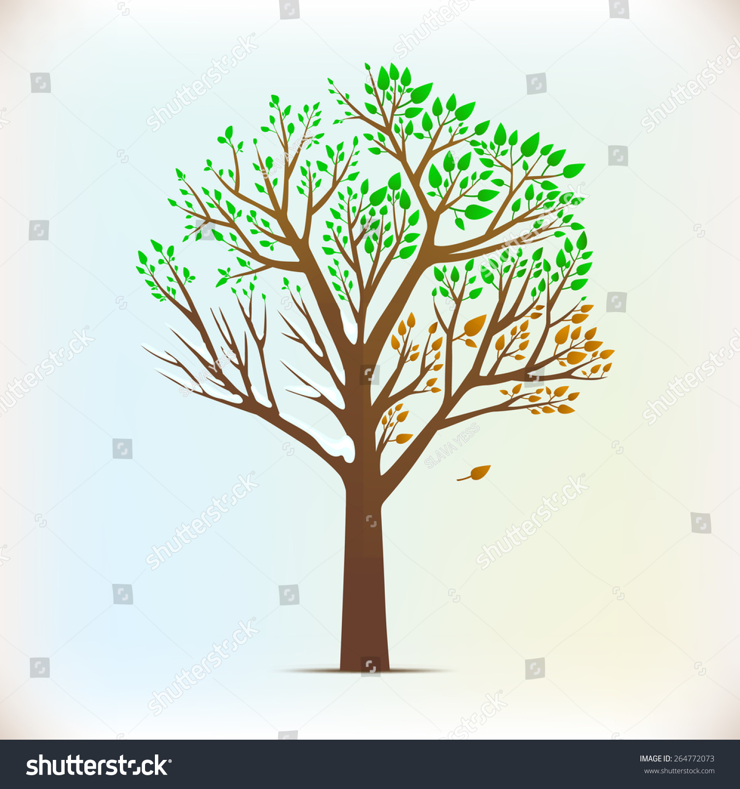 Four Seasons In One Tree Stock Vector Illustration 264772073 : Shutterstock