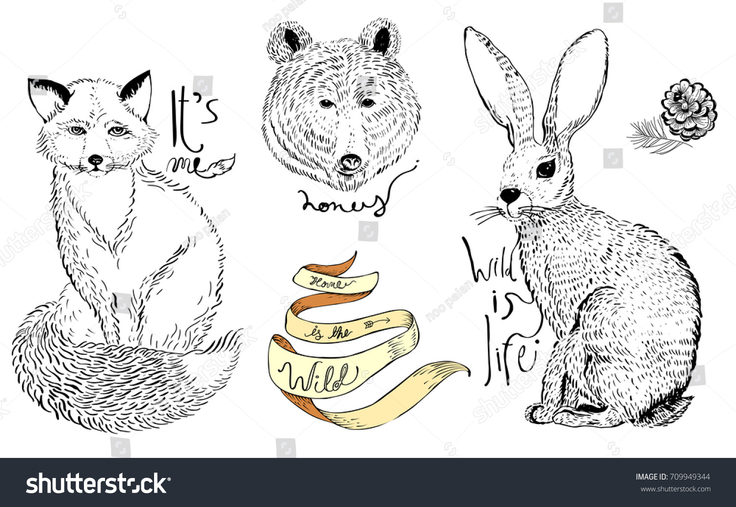 Fox Bear Rabbit Drawing Vector Stock Vector (Royalty Free) 709949344 ...