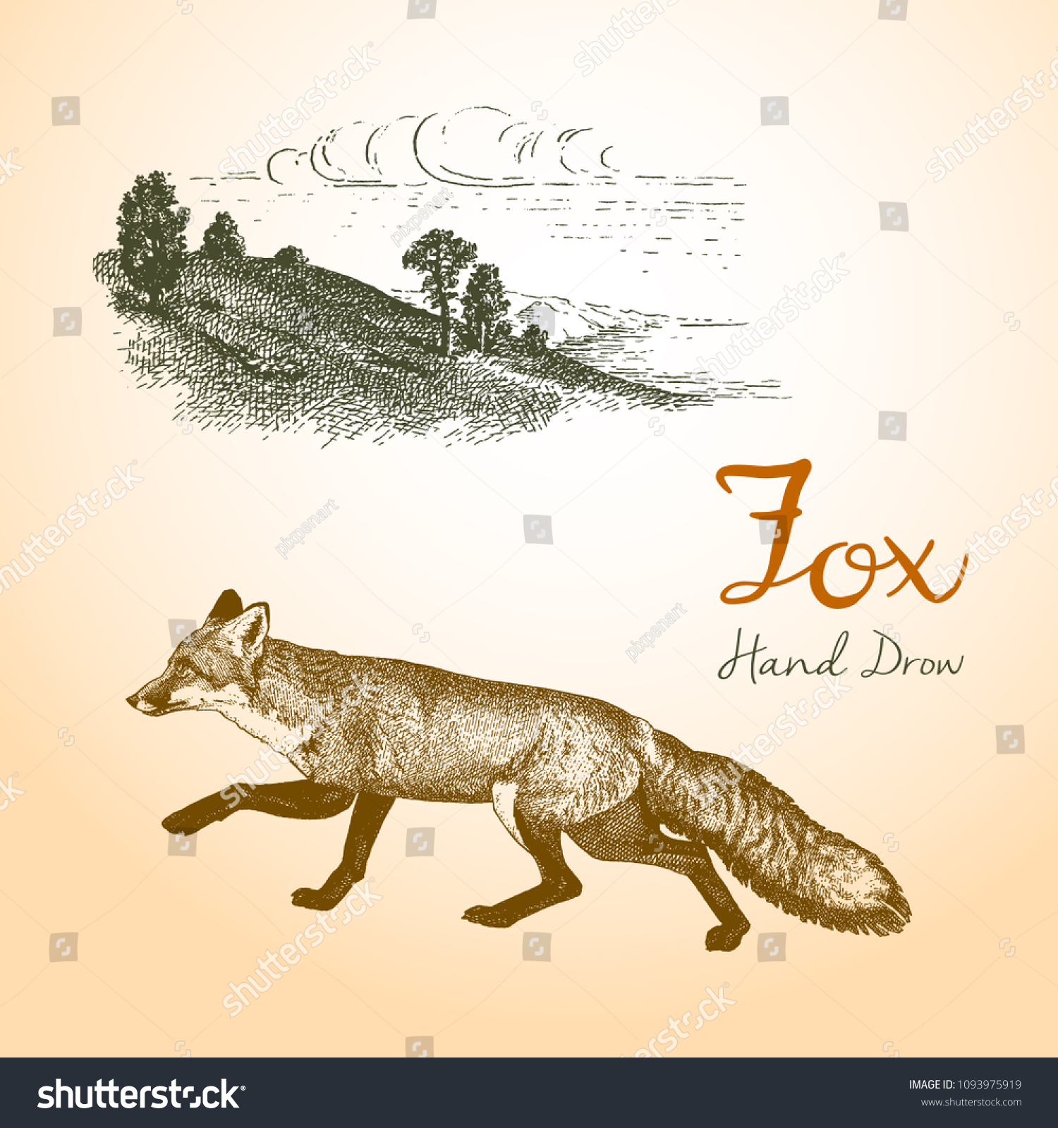 Fox Engraved Illustration Vector Stock Vector (Royalty Free) 1093975919 ...