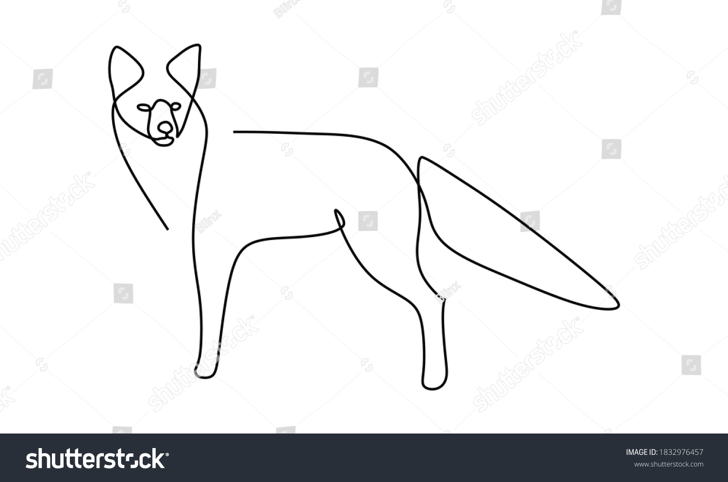 Fox Illustration Continuous One Line Drawing: เวกเตอร์สต็อก (ปลอดค่า ...