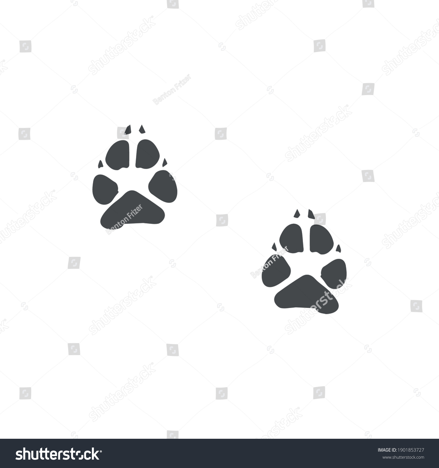 Fox Paw Print Vector Illustration Stock Vector (Royalty Free ...