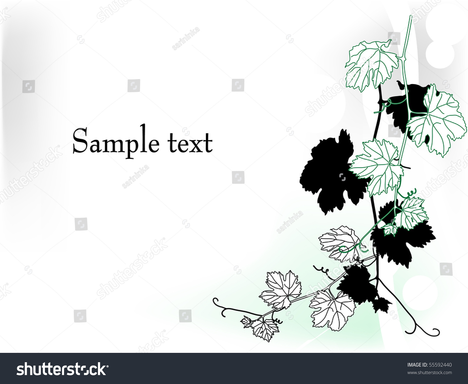 Frame Grapevine Vector Illustration Stock Vector (Royalty Free ...