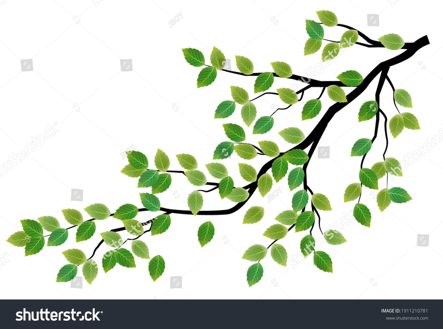 Fresh Green Leaf Spring Icon Stock Vector (Royalty Free) 1911210781