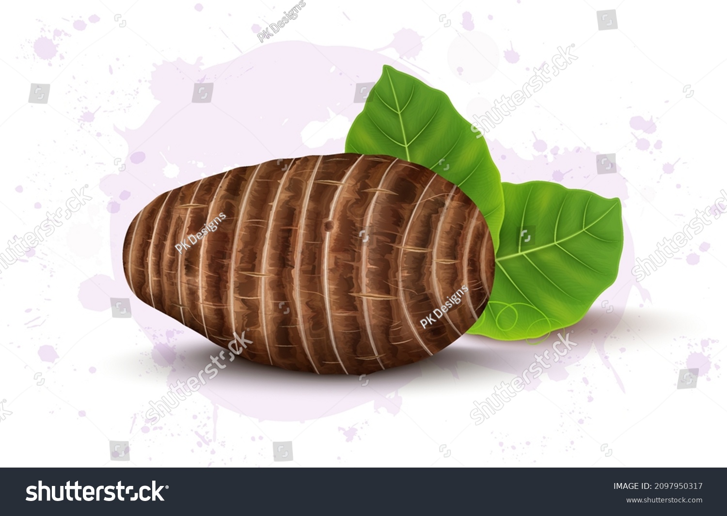 Fresh Taro Root Vector Illustration Stock Vector (Royalty Free) 2097950317