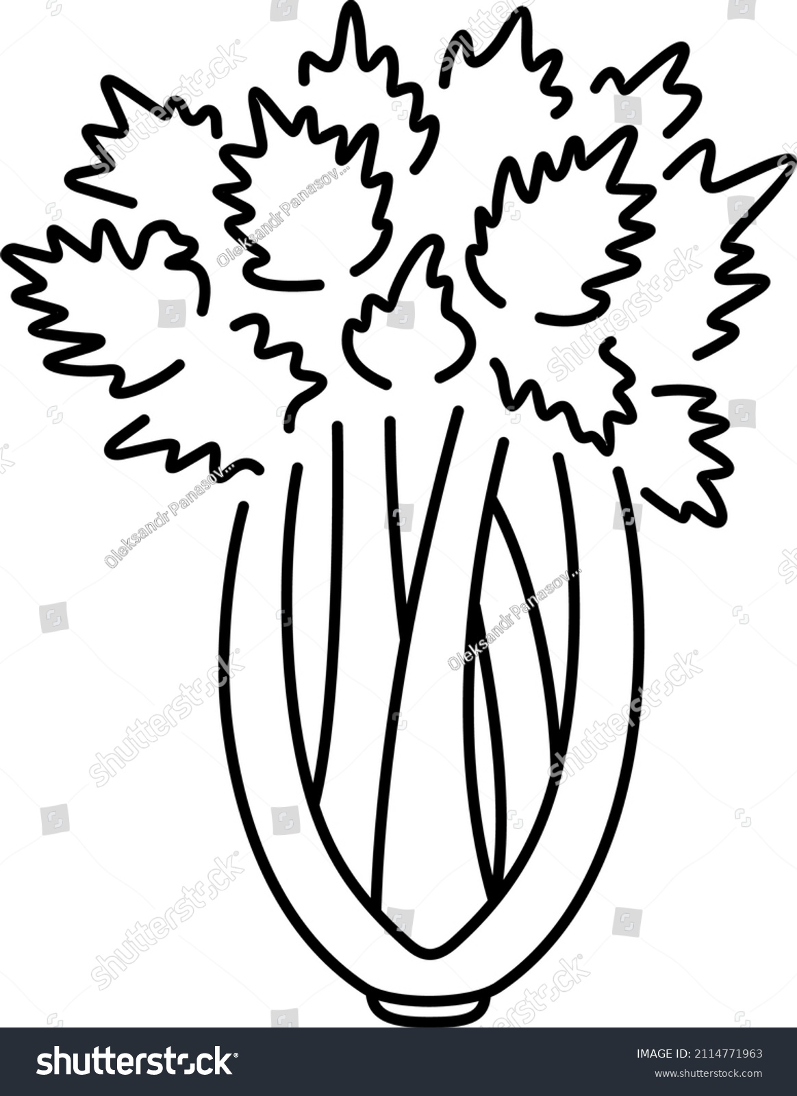 Fresh Vegetable Celery Vector Outline Illustration Stock Vector ...
