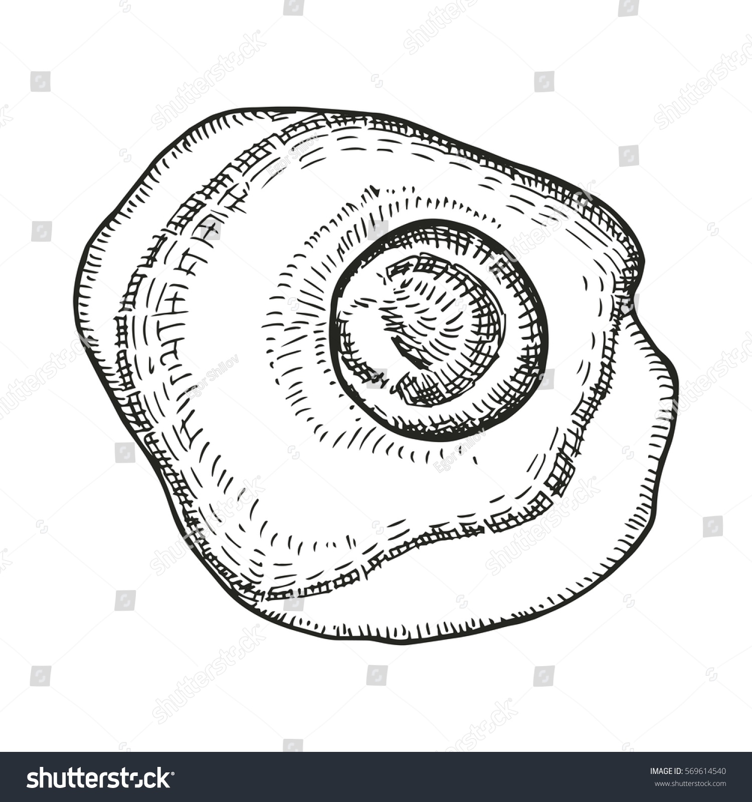 Fried Sketch Vector Illustration Stock Vector (Royalty Free) 569614540 ...