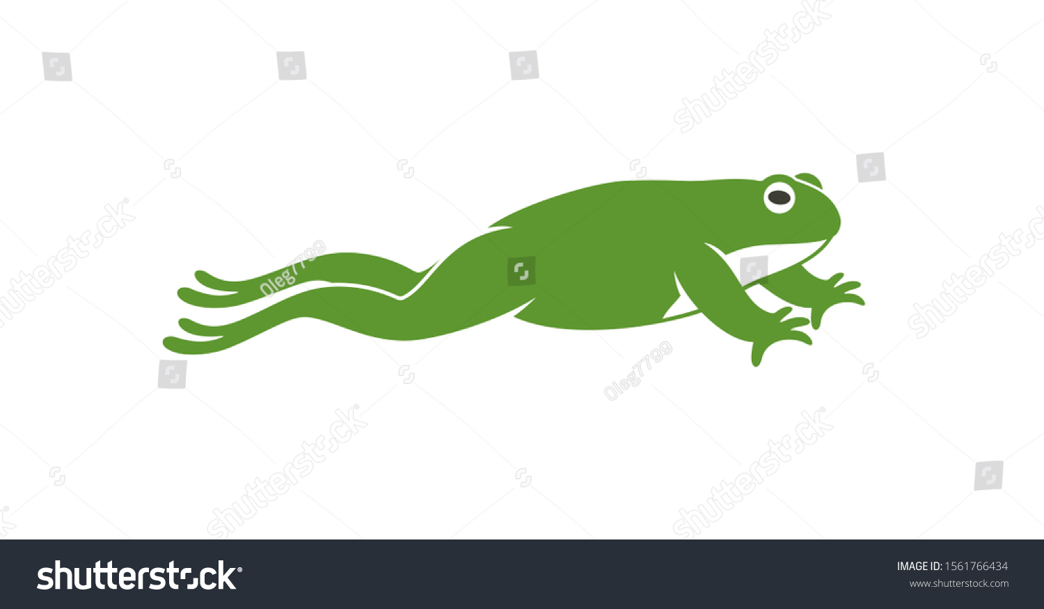 Rana saltando. Rana aislada saltando sobre: vector de stock (libre de ...