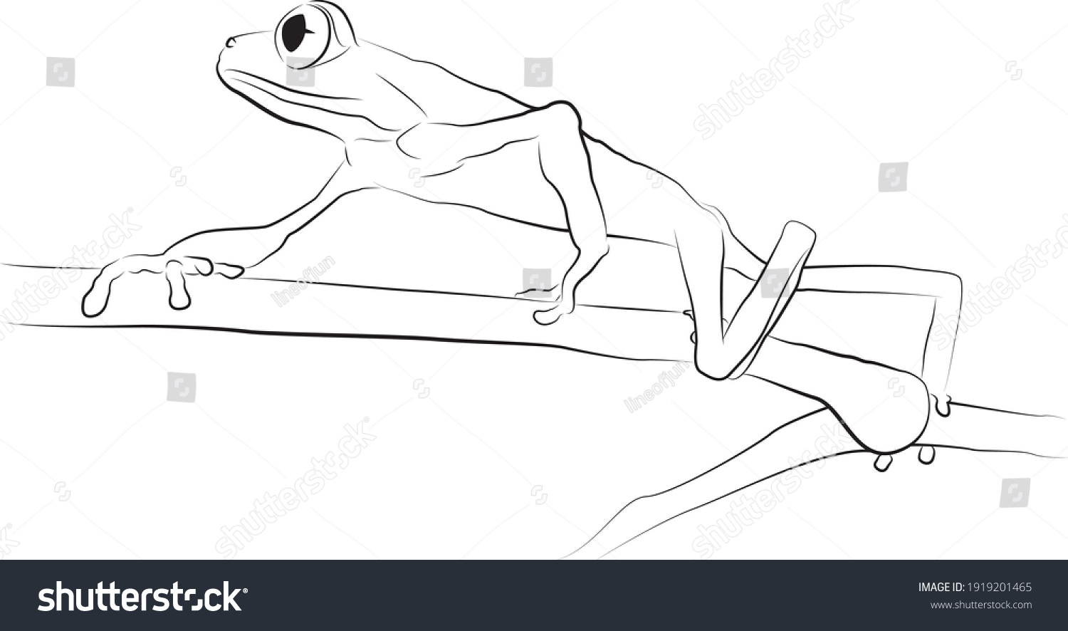 Frog Legs Long Outline Vector Stock Vector (Royalty Free) 1919201465