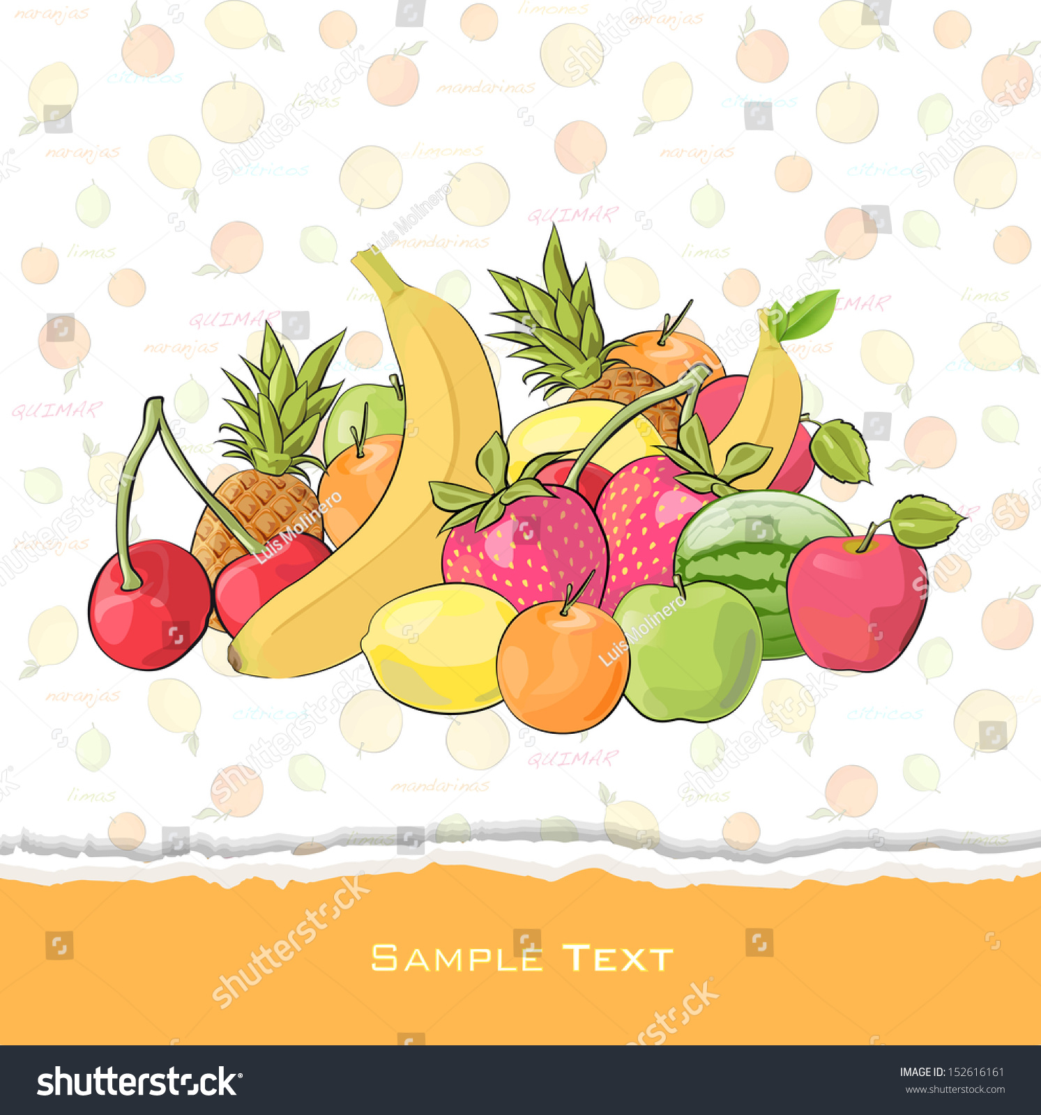 Fruit Collection. Isolated Vector Illustration. - 152616161 : Shutterstock