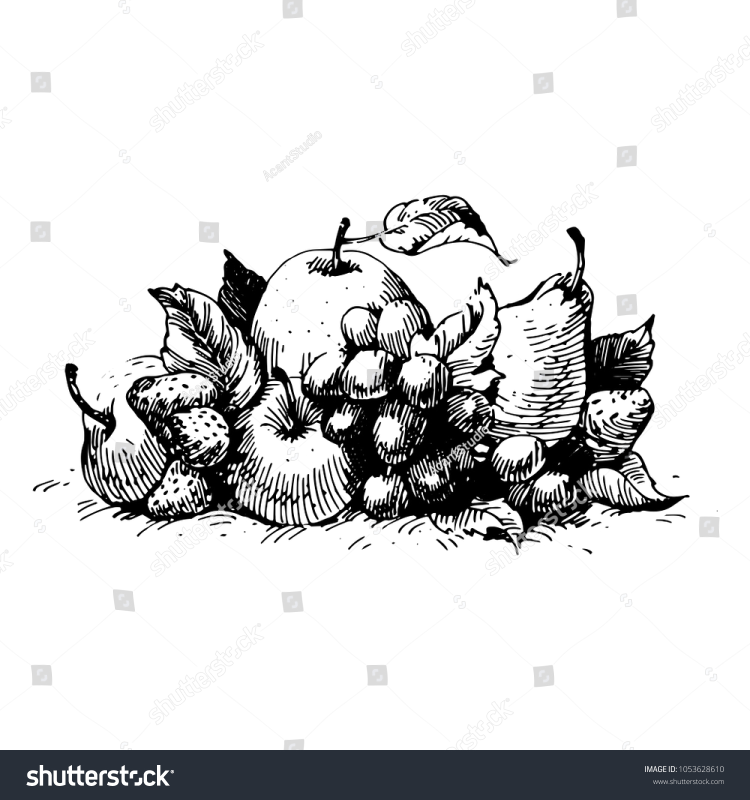 Fruit Ink Drawing Stock Vector (Royalty Free) 1053628610