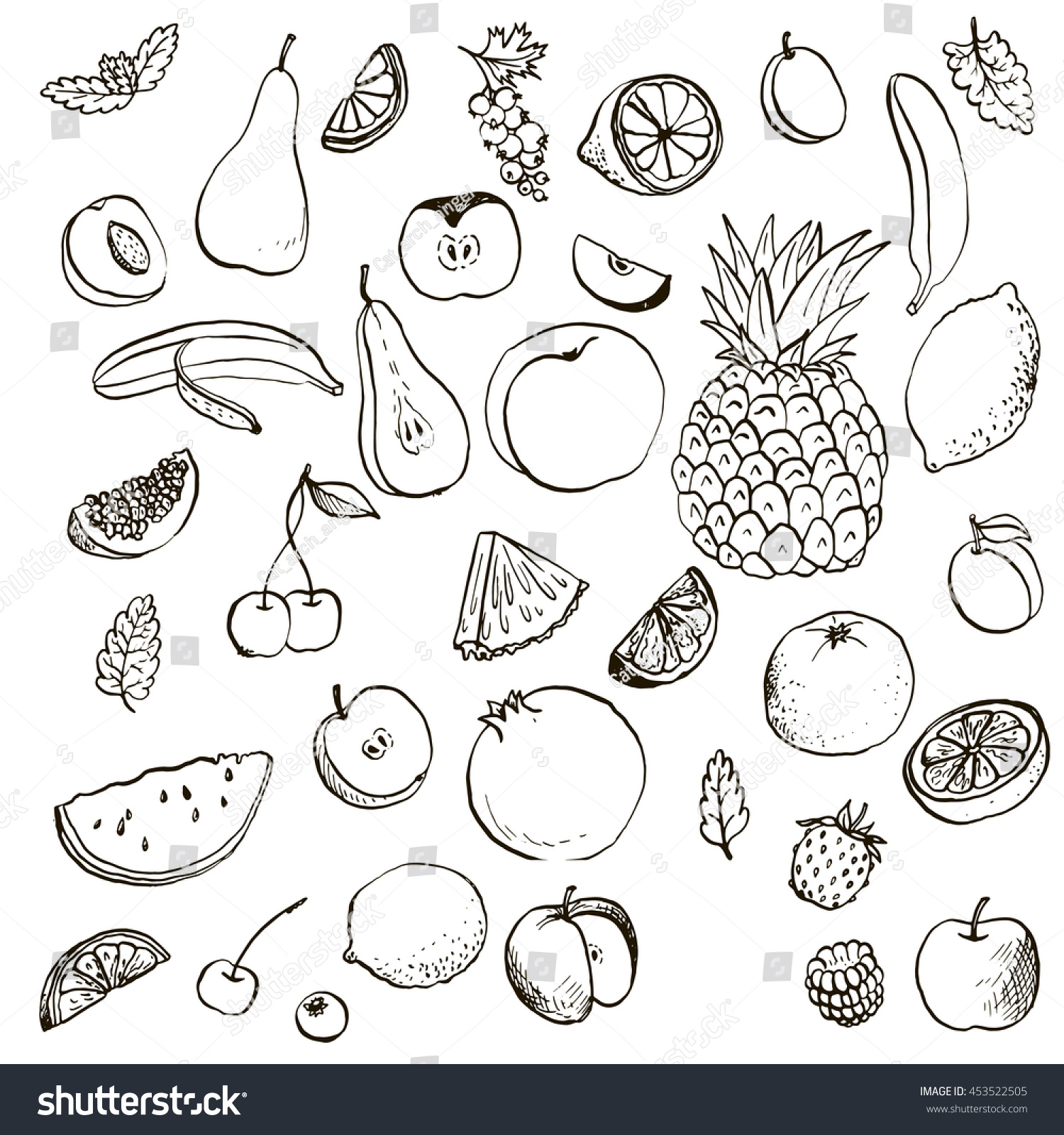 Fruits Berries Set Ink Drawing Vector Stock Vector 453522505 - Shutterstock