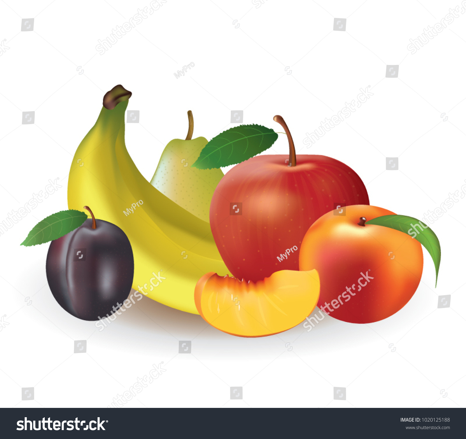 Fruits On White Background Vector Stock Vector (Royalty Free ...