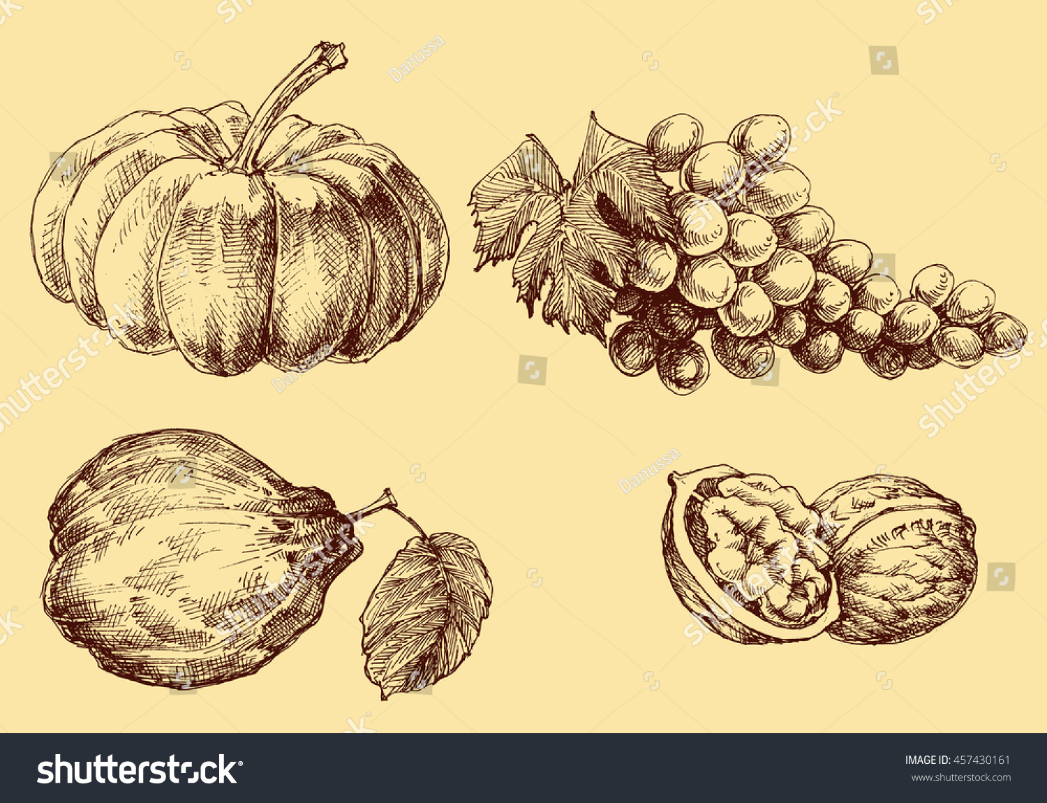 Fruits Vector Set Hand Drawn Stock Vector (Royalty Free) 457430161