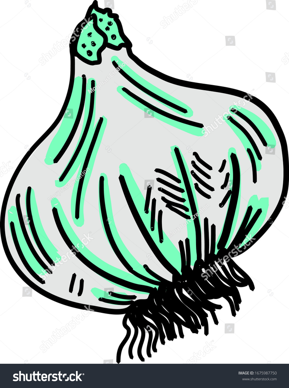 Garlic Drawing Illustration Vector On White Stock Vector (Royalty Free ...