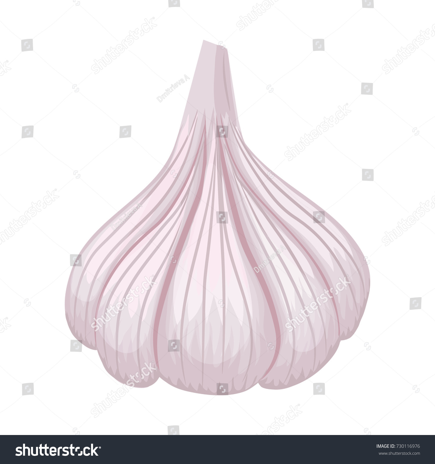 Garlic Isolated On White Background Cartoon Stock Vector (Royalty Free ...