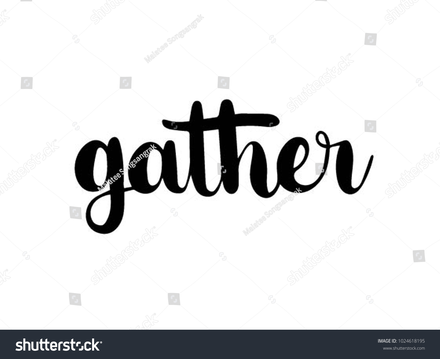 Gather Calligraphy Hand Lettering Vector Stock Vector (Royalty Free ...