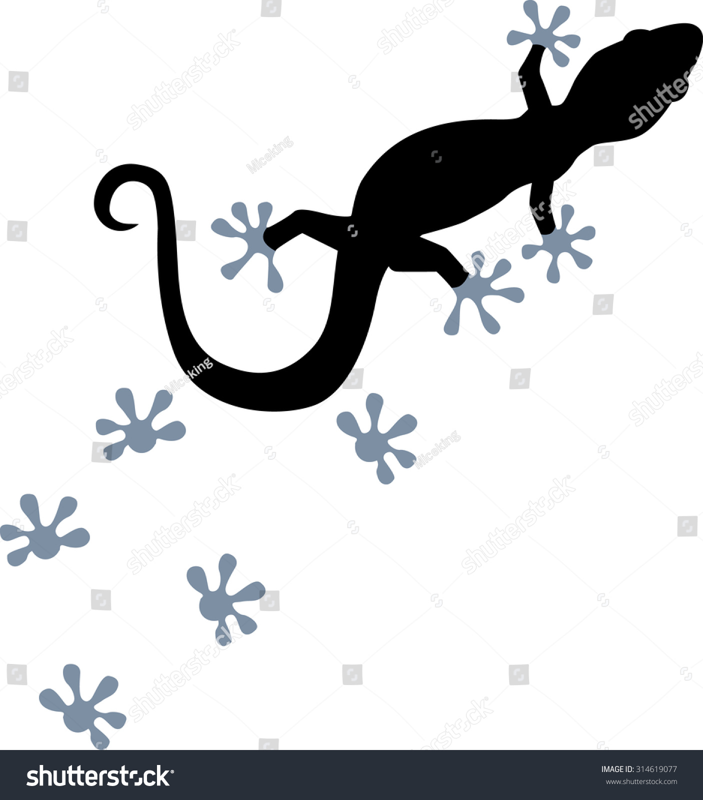 Gecko Footprint Stock Vector (Royalty Free) 314619077 - Shutterstock