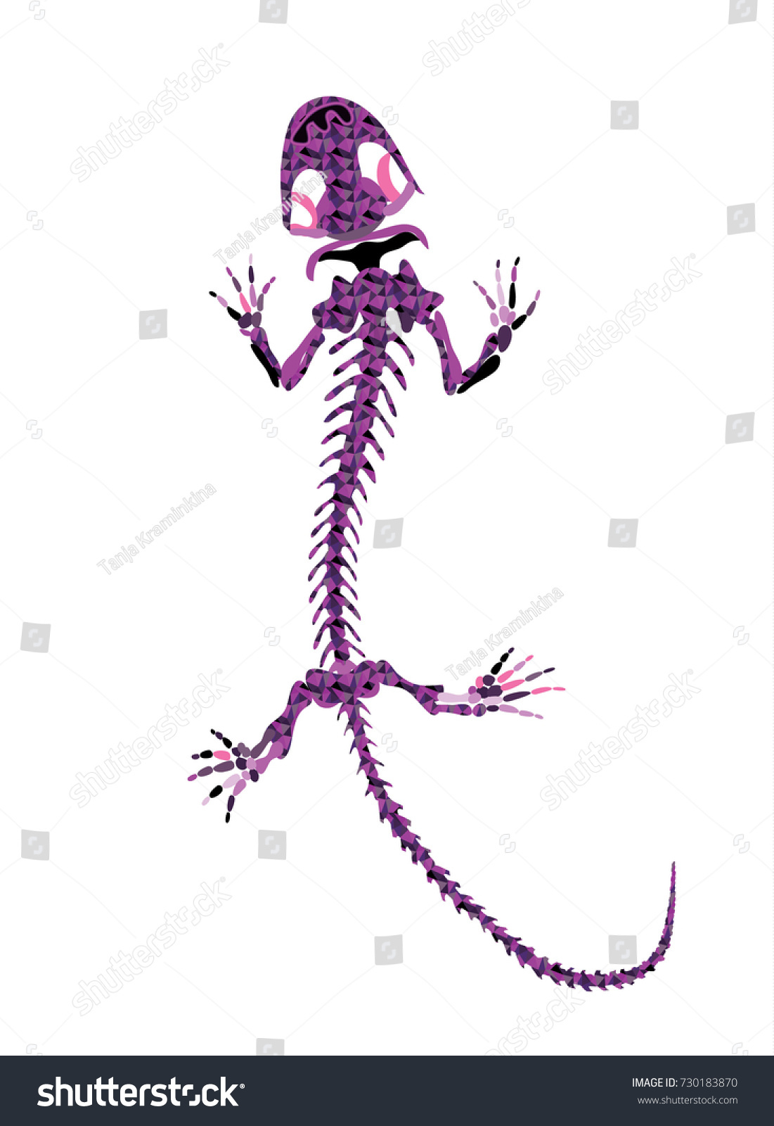 Gekko Ancient Skeletons Vector Art Stock Vector (Royalty Free) 730183870