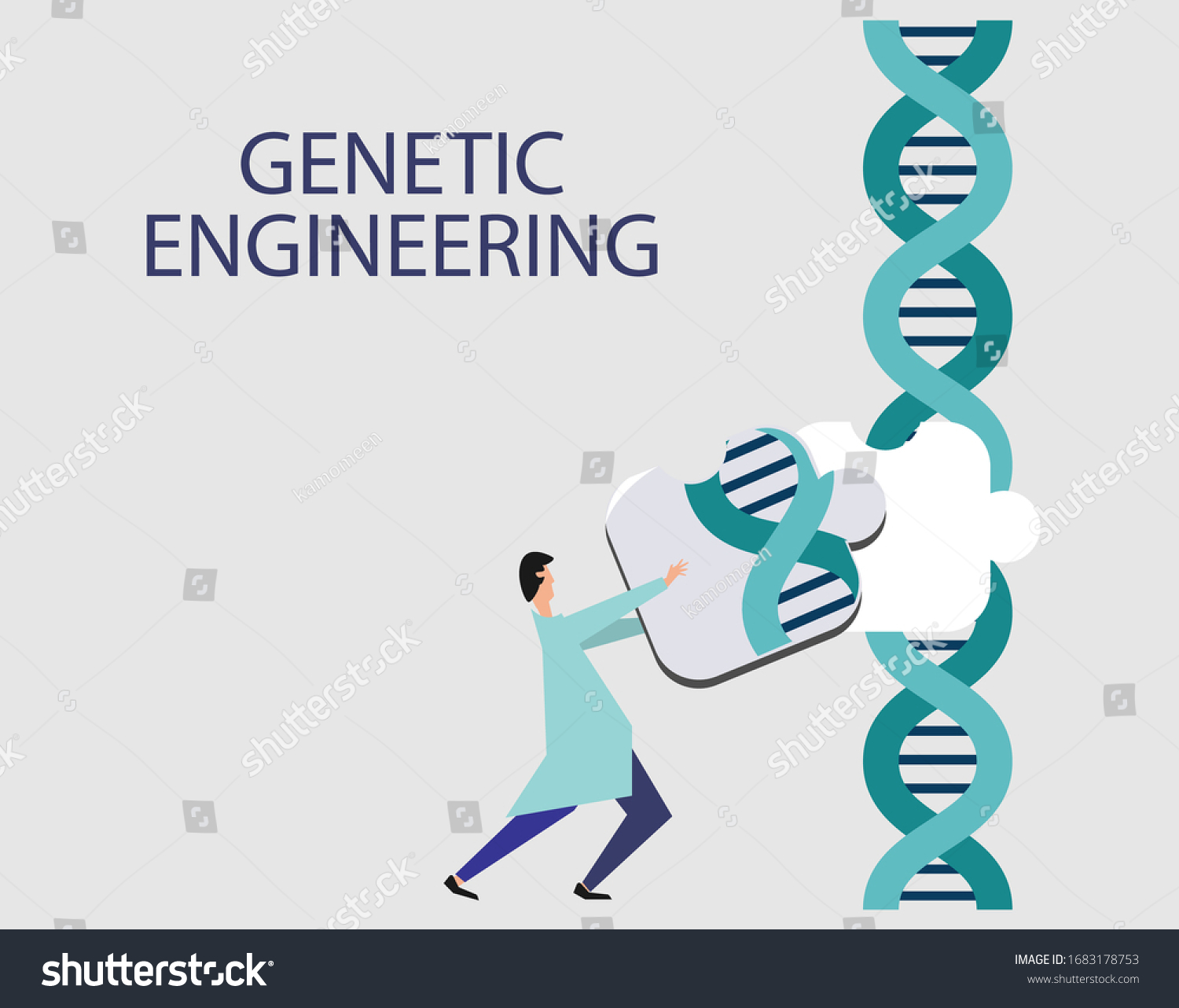 Genetic Scientists Edit Dna Genetic Engineering: เวกเตอร์สต็อก (ปลอดค่า ...