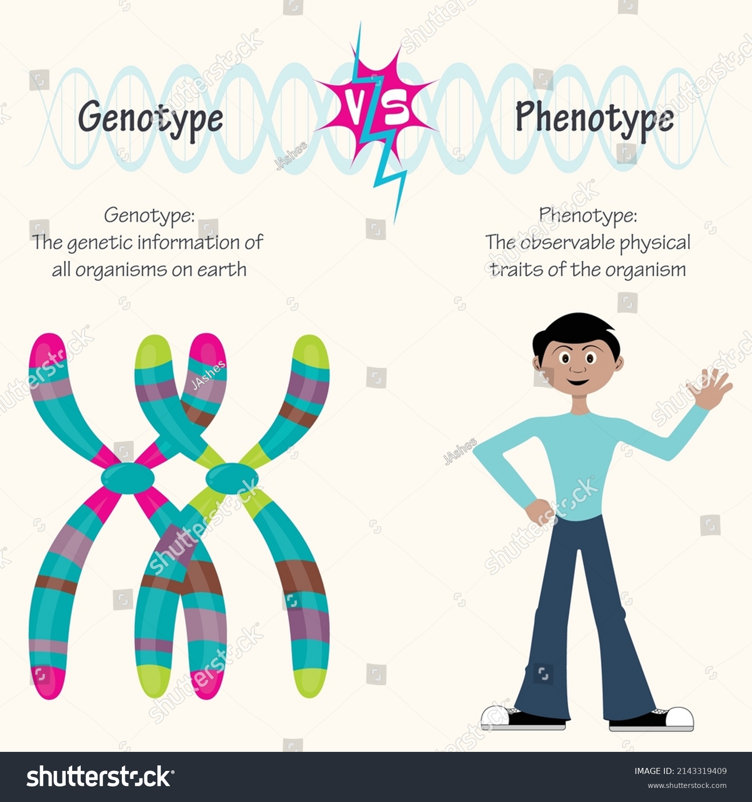 48 imágenes de Fenotip - Imágenes, fotos y vectores de stock | Shutterstock