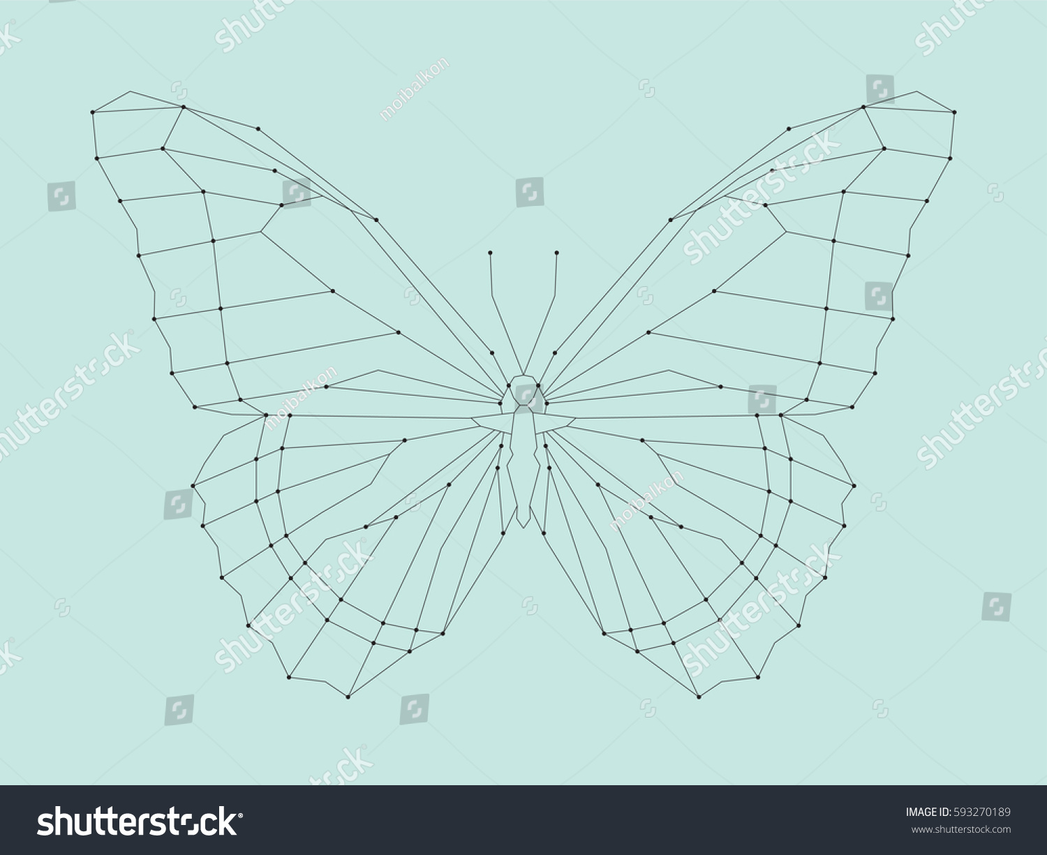Geometric Linear Butterfly Vector Illustration Stock Vector (Royalty ...