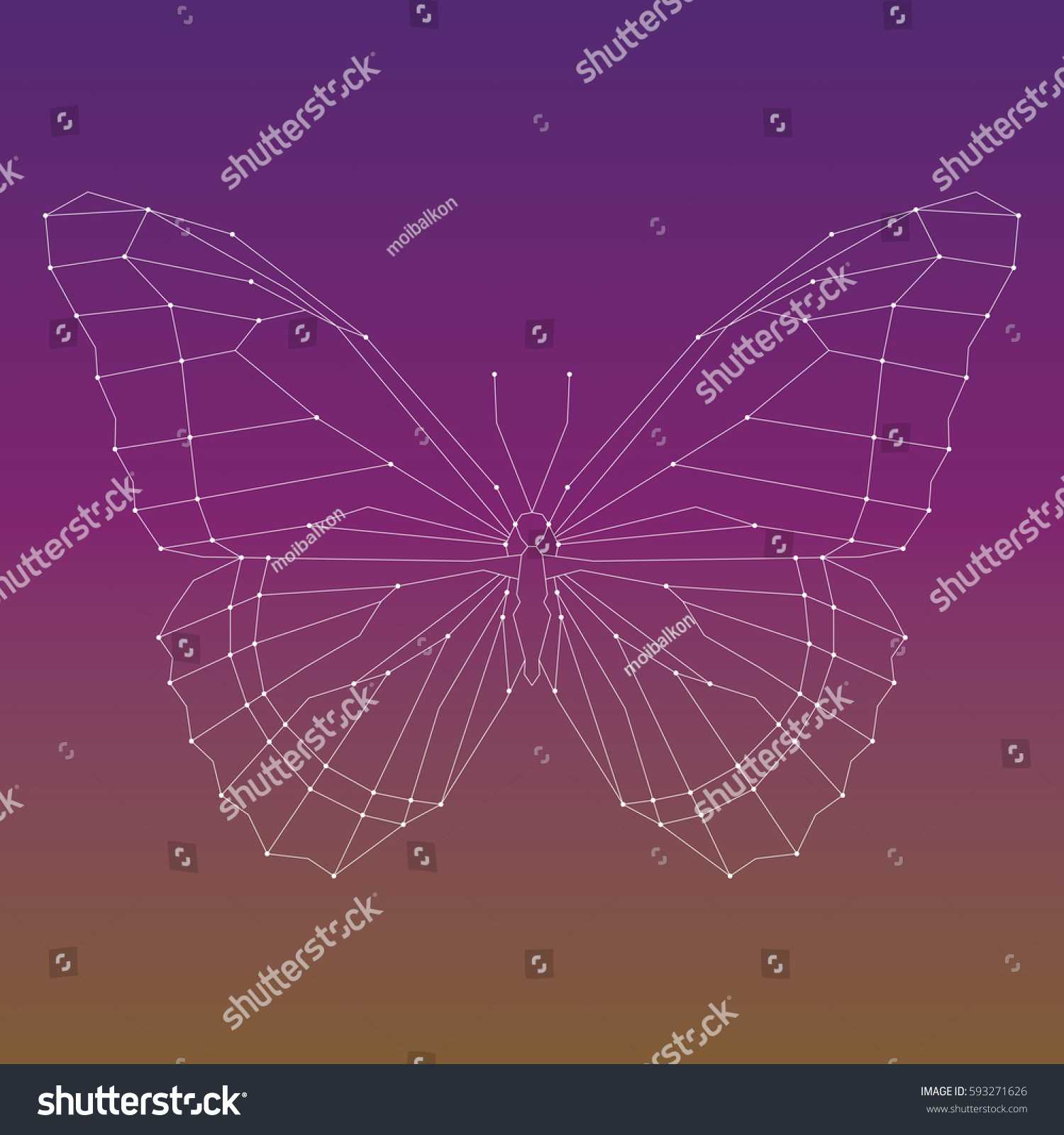 Geometric Linear Butterfly Vector Illustration Stock Vector (Royalty ...