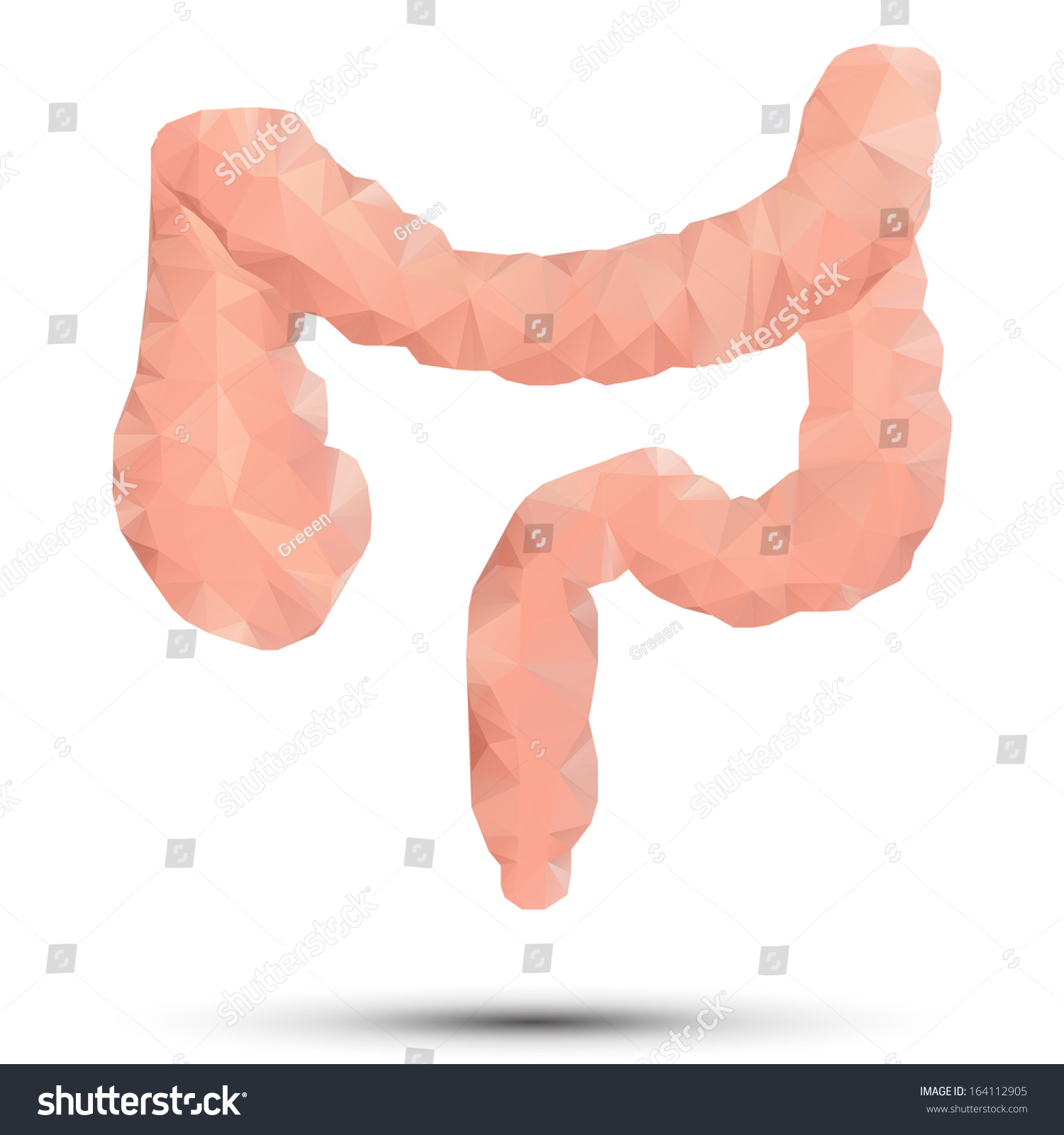 Geometrical Stylized Bowel Stock Vector (Royalty Free) 164112905