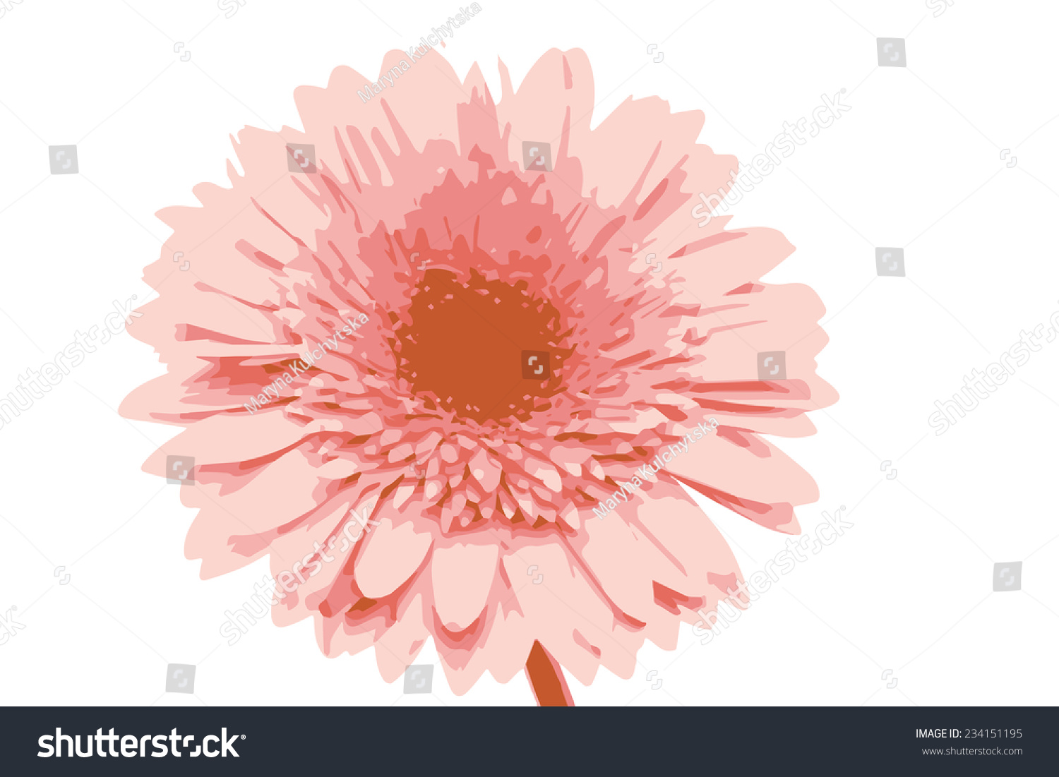 Gerber Daisy Flower Stock Vector (Royalty Free) 234151195 | Shutterstock