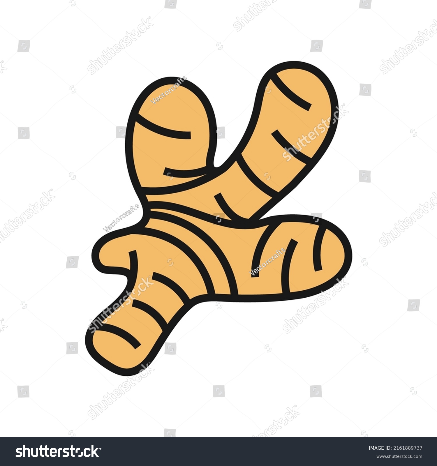 Ginger Icon Design Template Vector Illustration Stock Vector (Royalty ...