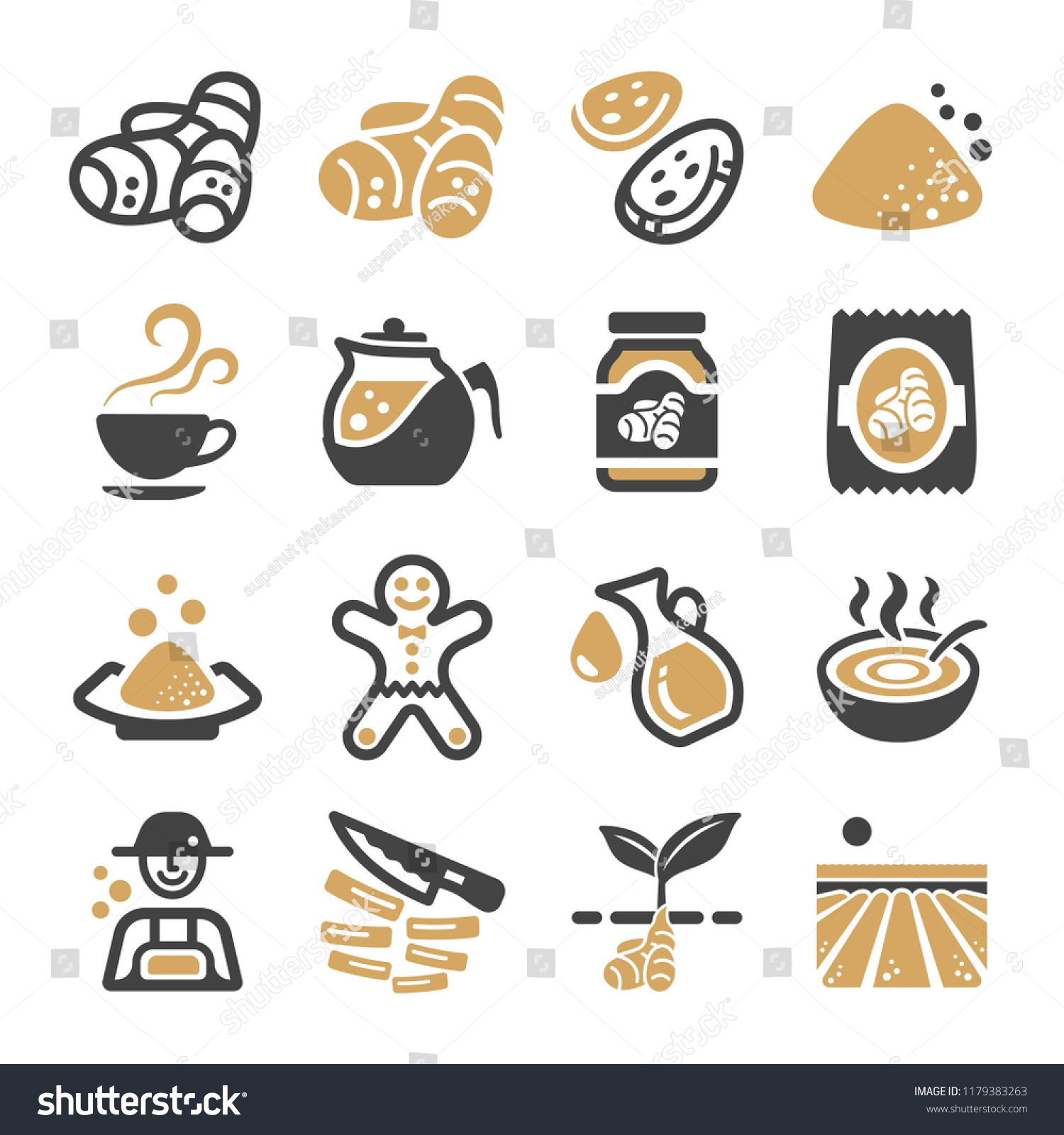 Ginger Icon Set Stock Vector (Royalty Free) 1179383263