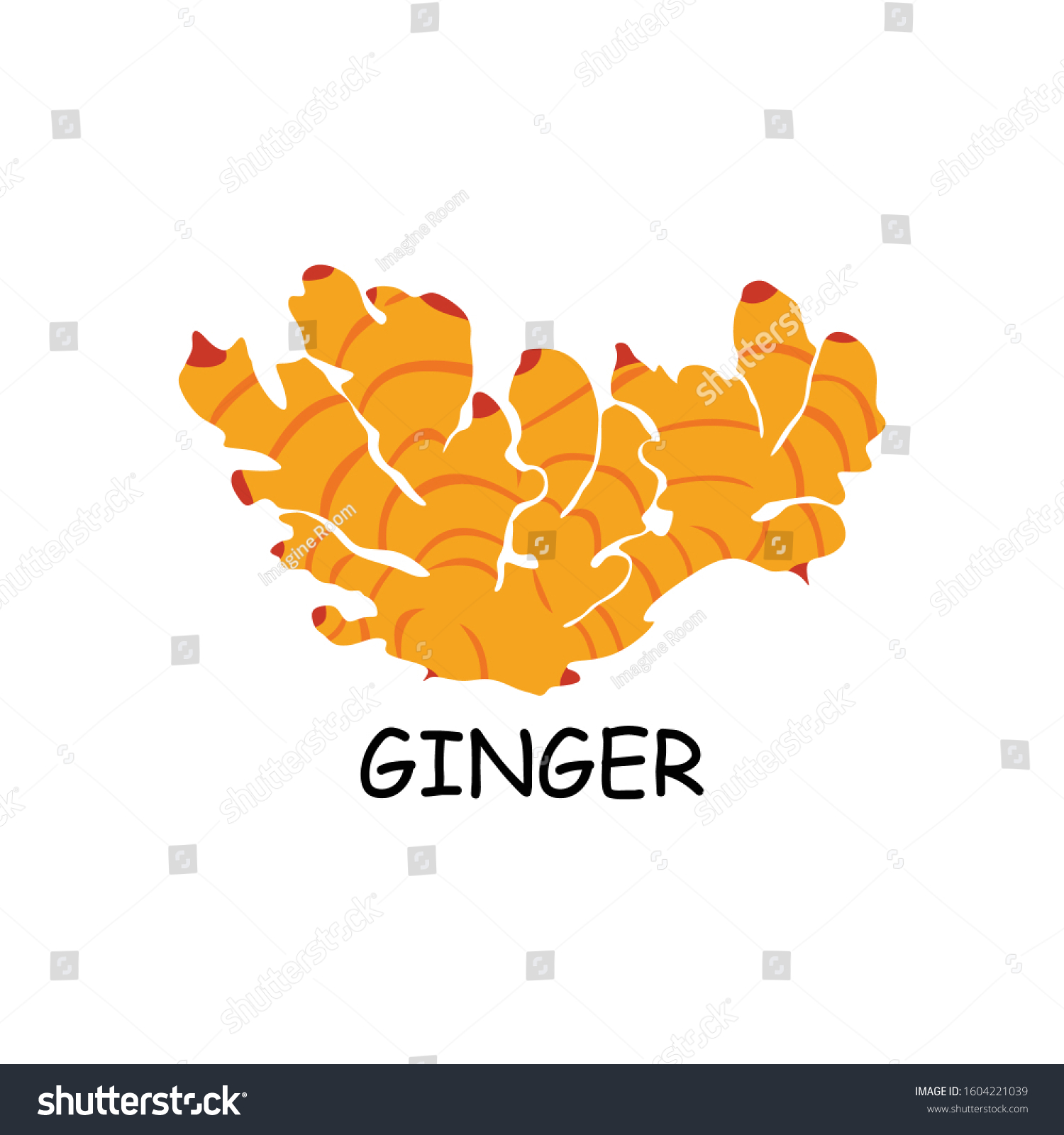 Ginger Logo Ginger Root Logo Template: เวกเตอร์สต็อก (ปลอดค่าลิขสิทธิ์ ...