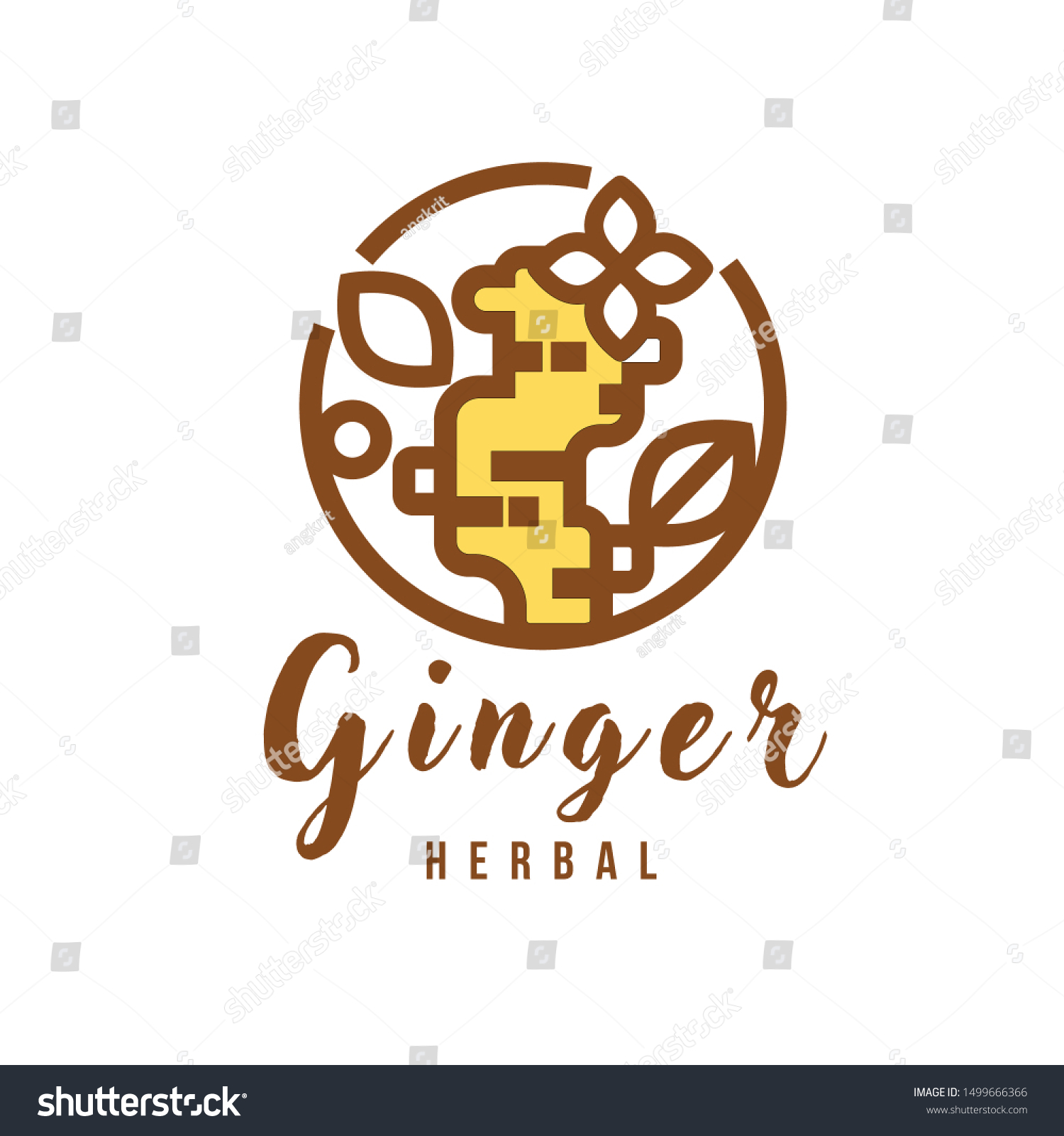 Ginger Logo Herbal Logo Concept Vector Stock Vector (Royalty Free ...