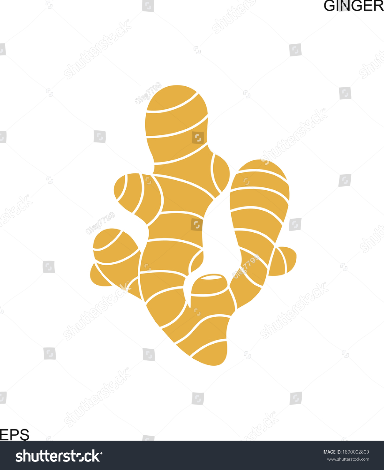 Ginger Logo Isolated Ginger On White Stock Vector (Royalty Free) 1890002809