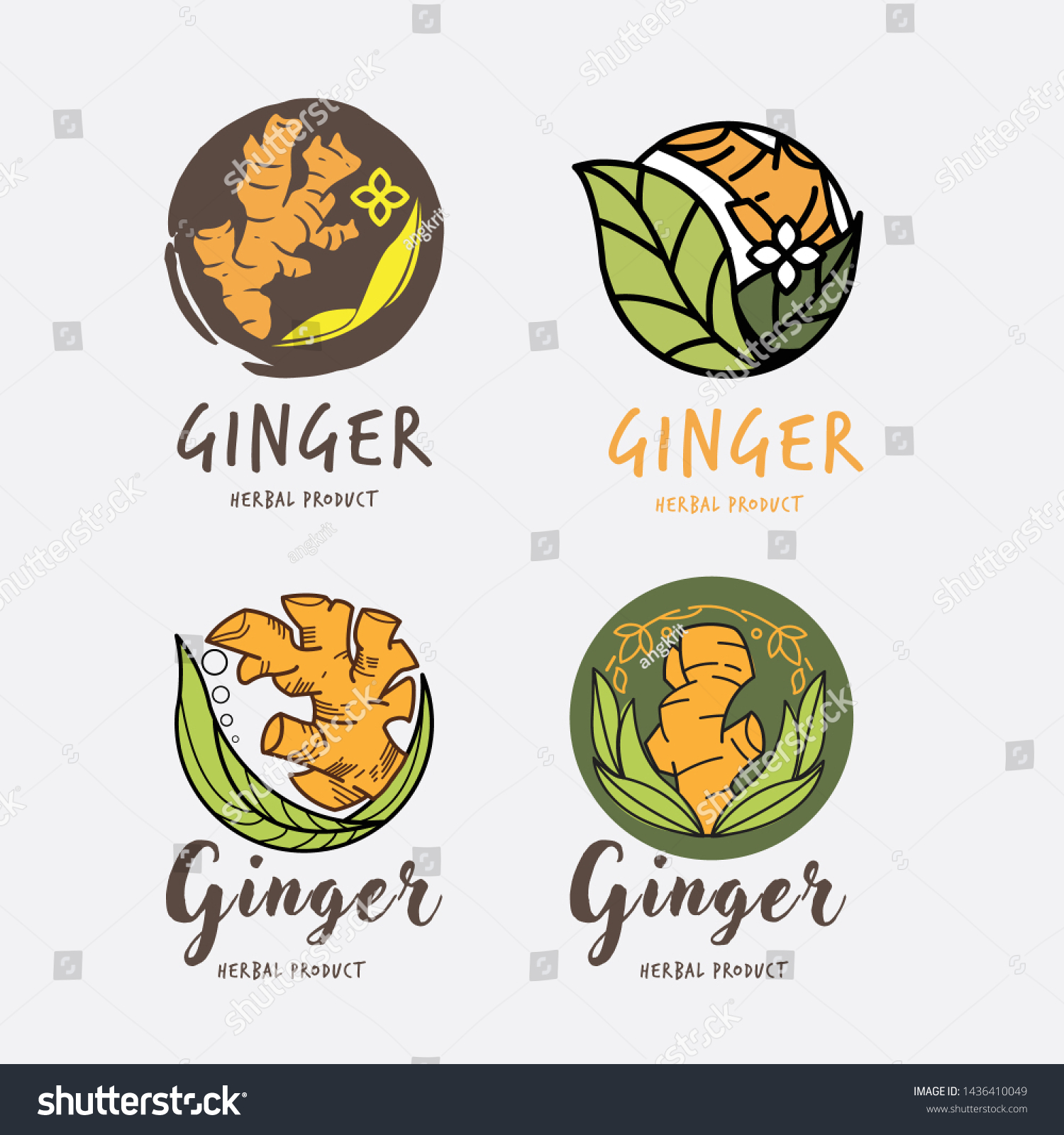 Ginger Ginseng Logo Set Vector Stock Vector (Royalty Free) 1436410049