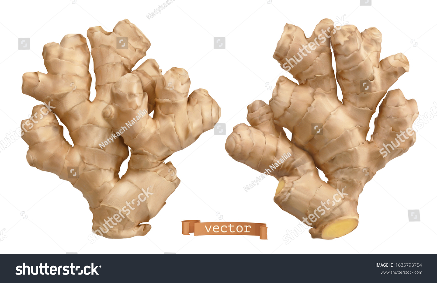 Ginger Root 3d Realistic Vector Objects Stock Vector (Royalty Free ...