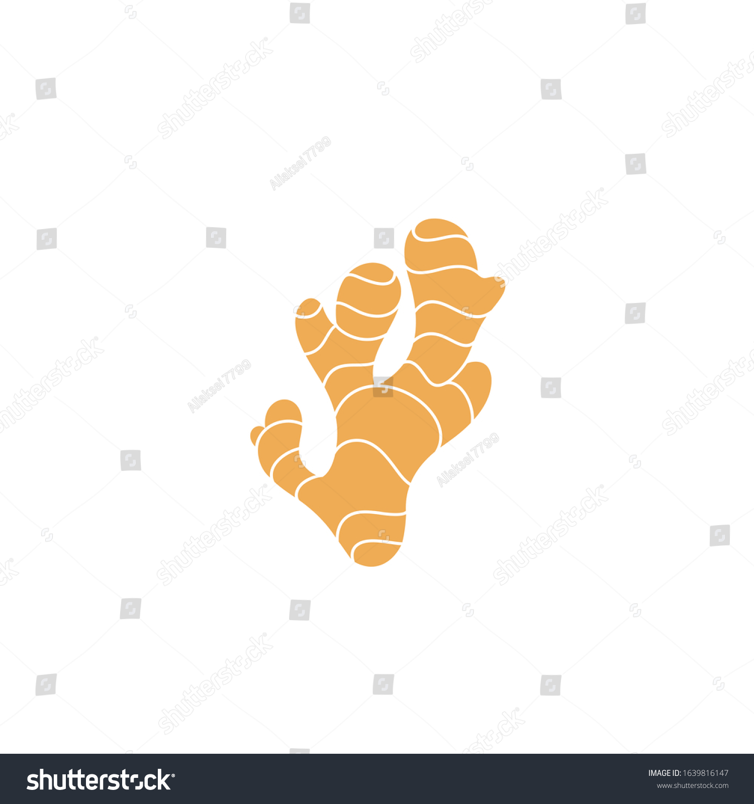 Ginger Root Vector Illustration Isolated Ginger Stock Vector (Royalty ...