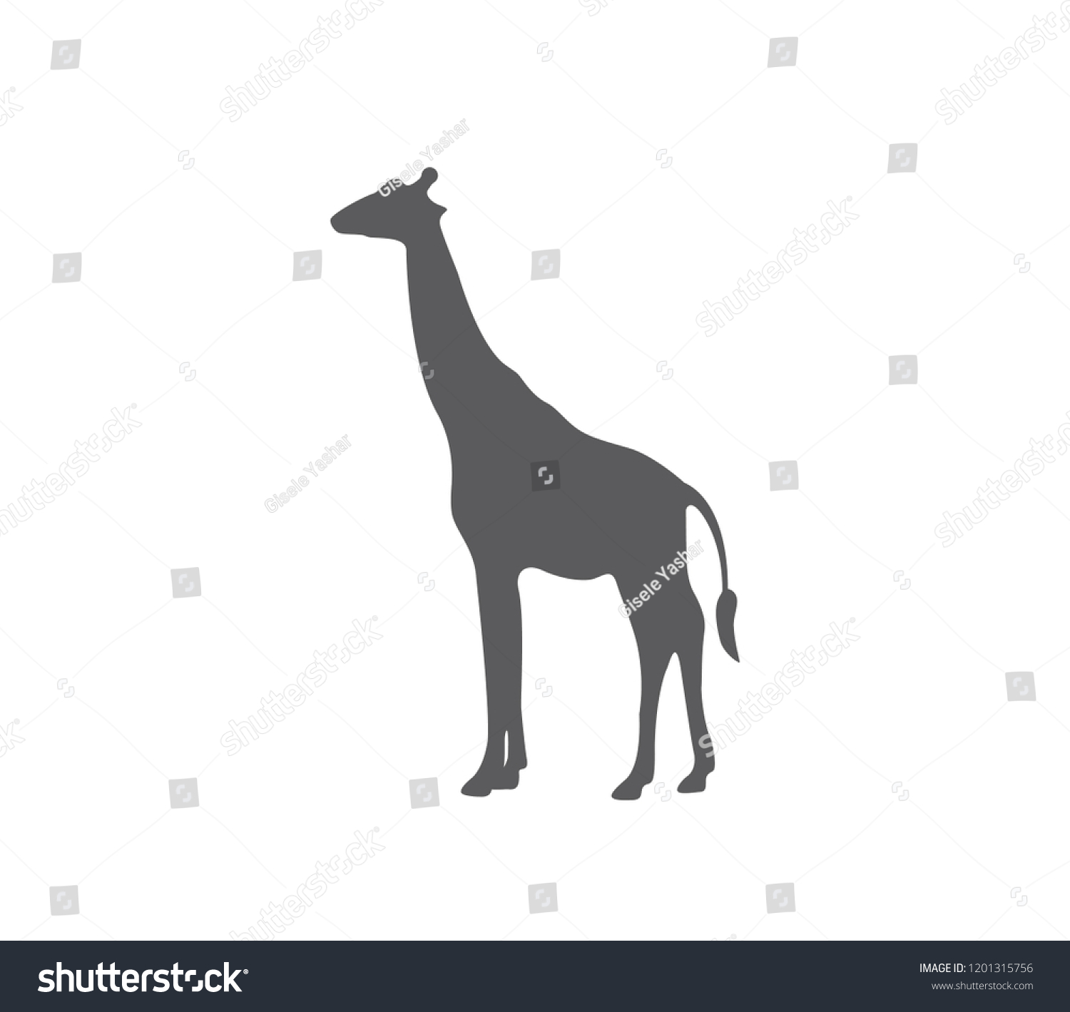 27,909 Giraffe icon Stock Vectors, Images & Vector Art | Shutterstock