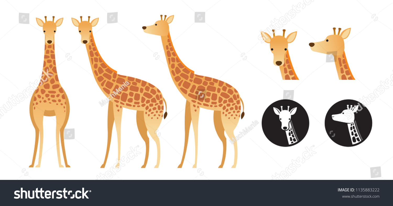 Giraffe Vector Set Front View Side Stock Vector (Royalty Free) 1135883222
