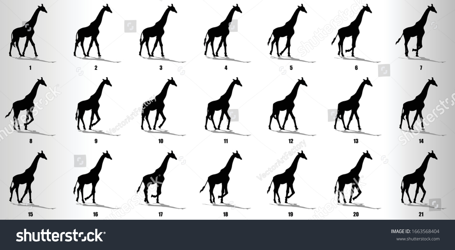 Giraffe Walk Cycle Animation Frames Silhouette 库存矢量图（免版税）1663568404 ...