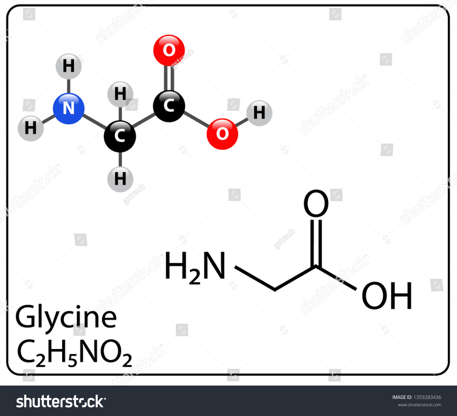 Glycine Molecule Structure Stock Vector (Royalty Free) 1359283436 ...
