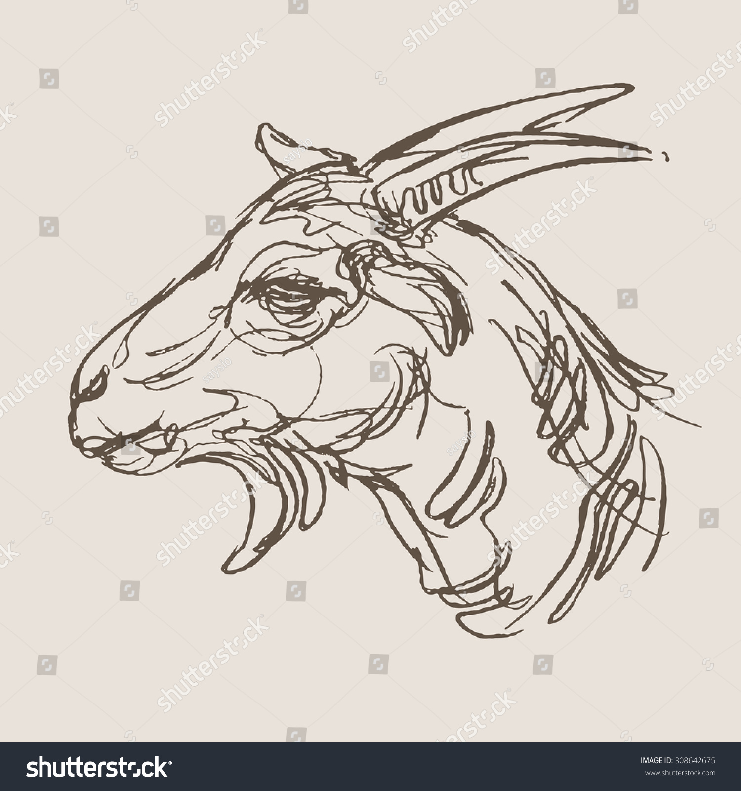 Goat Hand Draw Sketch Vector Stock Vector (Royalty Free) 308642675 ...