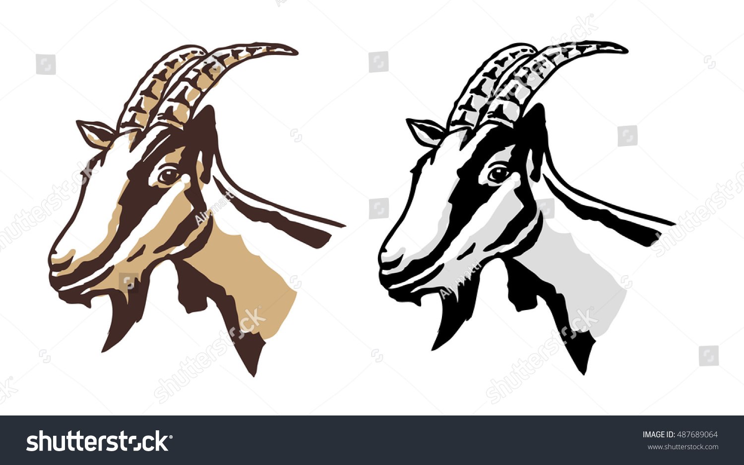 Goat Head Vector Illustration Two Coloring Stock Vector (Royalty Free ...