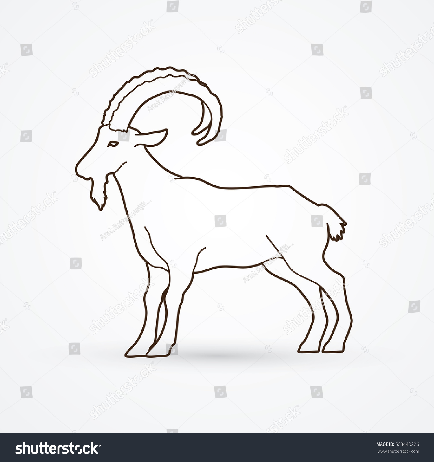 Goat Standing Outline Graphic Vector Stock Vector 508440226 - Shutterstock
